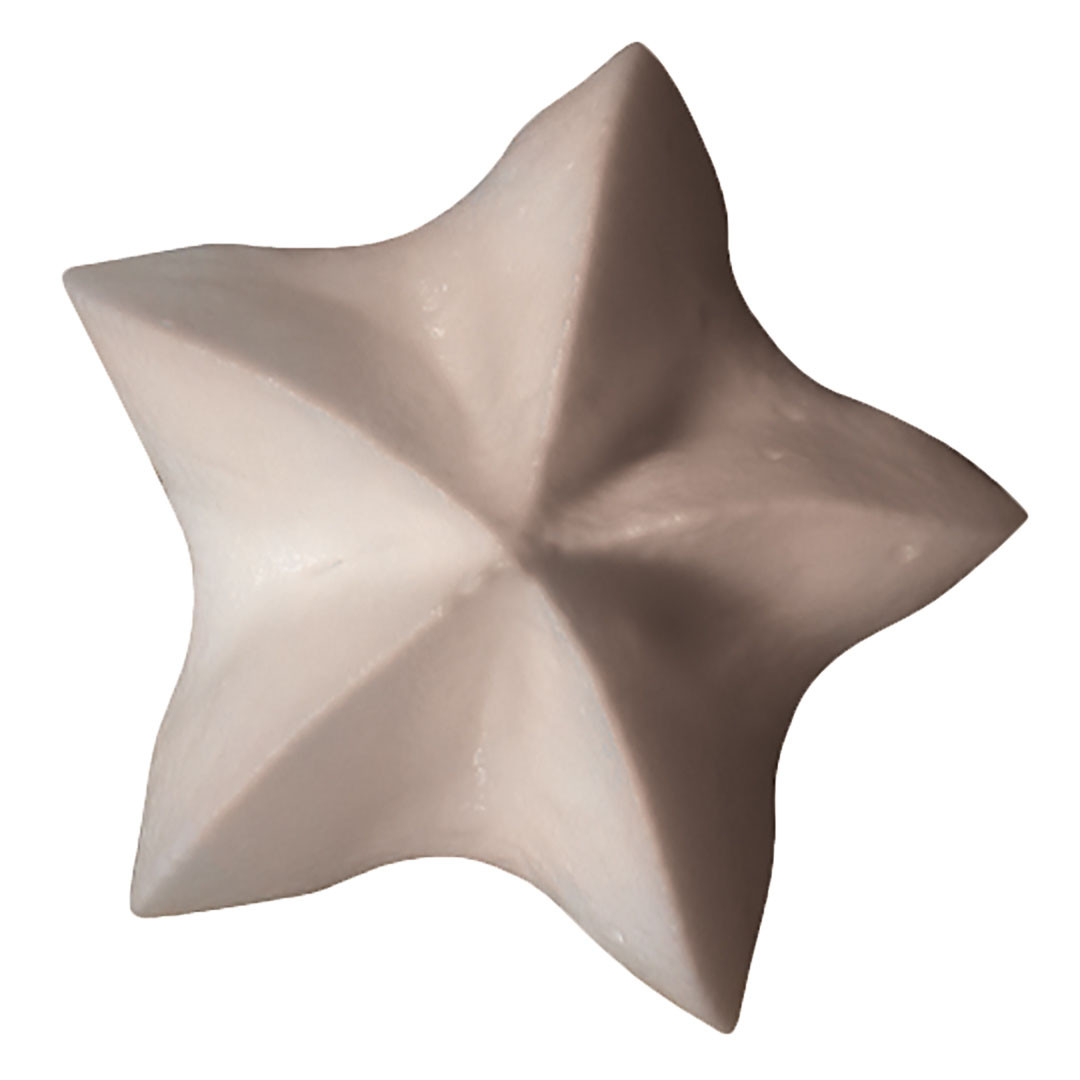 Stainless steel star nozzle D5 - 5 teeth Ø11mm - de Buyer